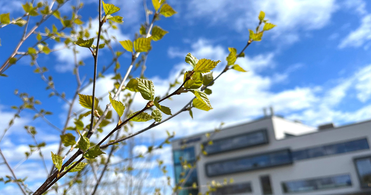 Så här underlättar du för pollenallergiker på jobbet | Simployer | Simployer